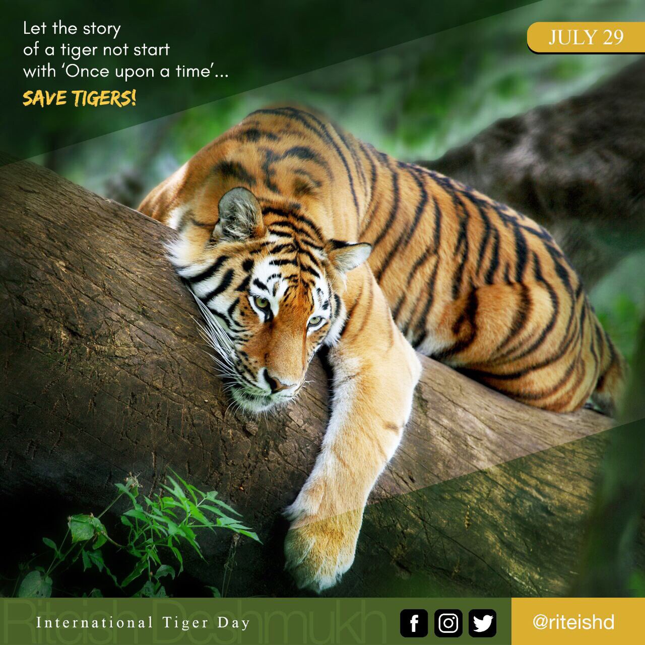 Save The Tiger Quotes