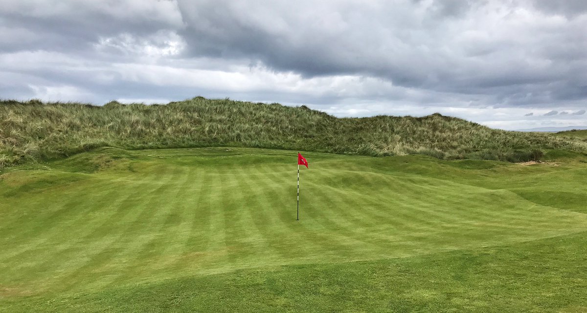 Alex Miceli (@alexmiceli) | Twitter