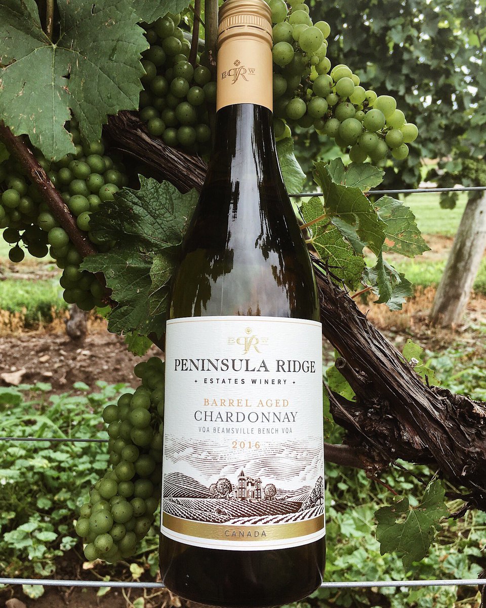 Peninsula Ridge Peninsularidge Twitter