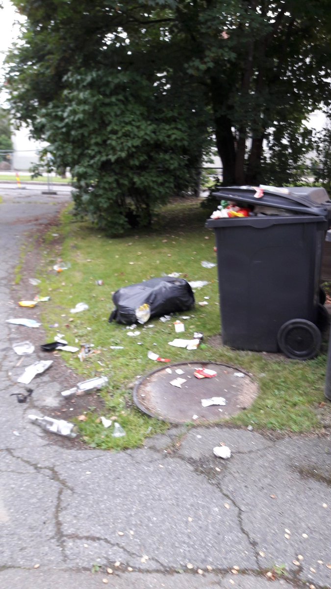 Torstein scheflo (@SchefloTorstein) | Twitter