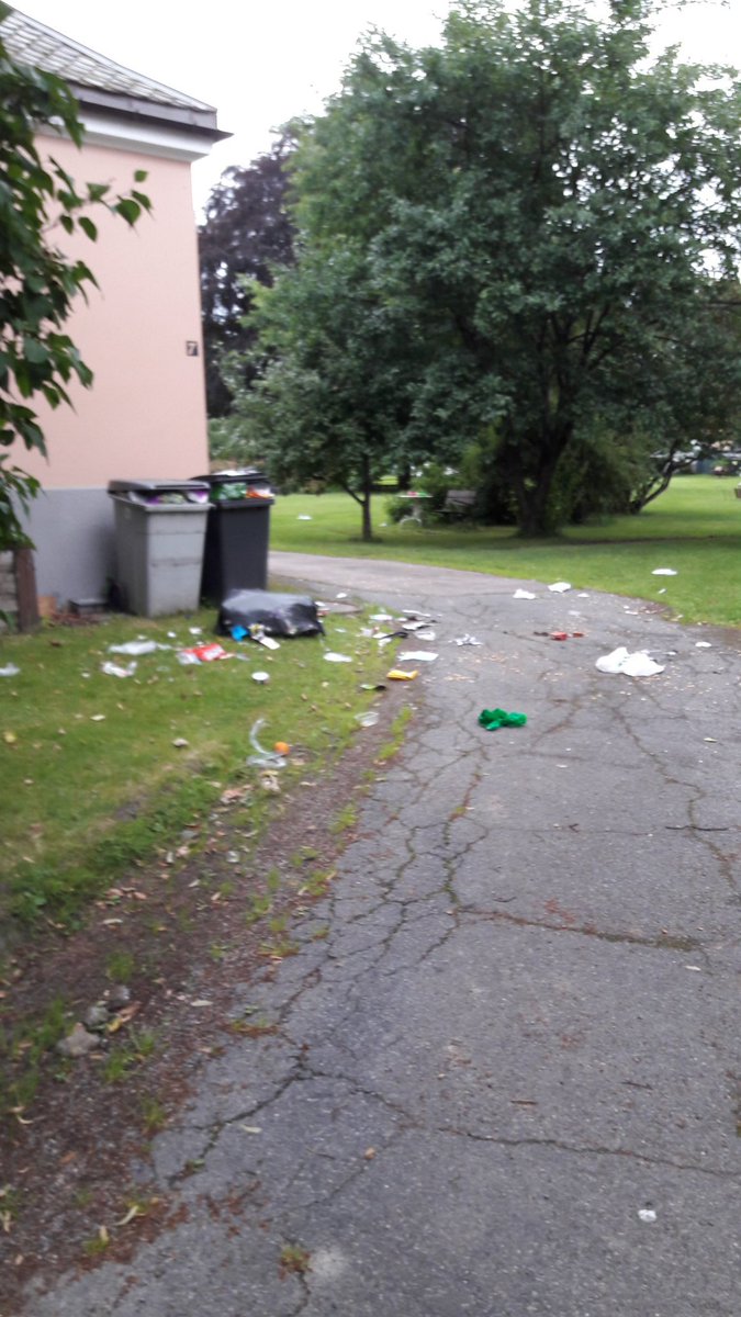 Torstein scheflo (@SchefloTorstein) | Twitter