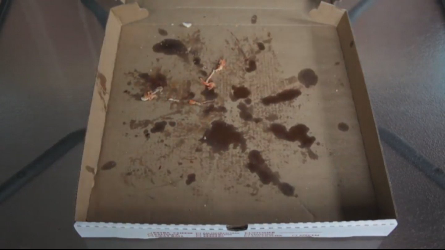 Philadelphia Reminding Residents Not To Recycle Greasy Pizza Boxes http ...