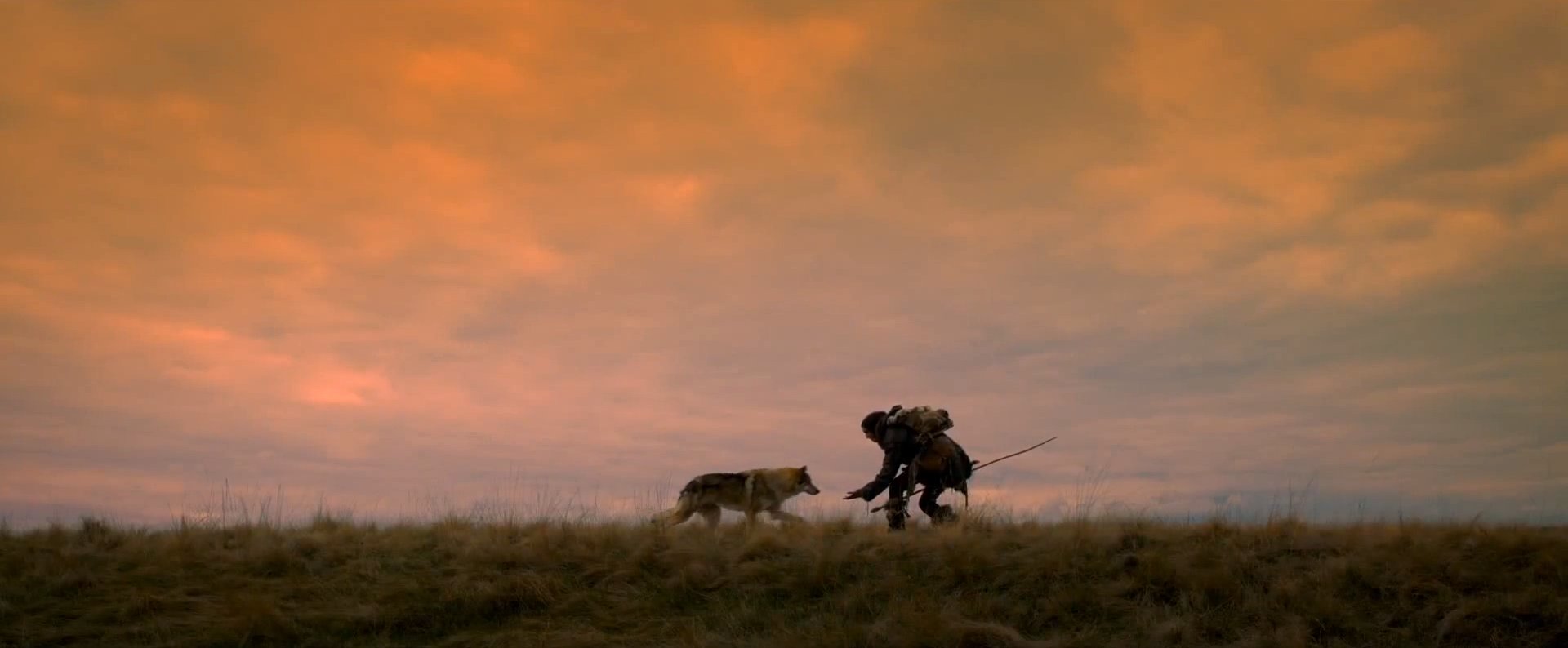 Alpha Trailer Featuring Kodi Smit-McPhee | Latest News Explorer