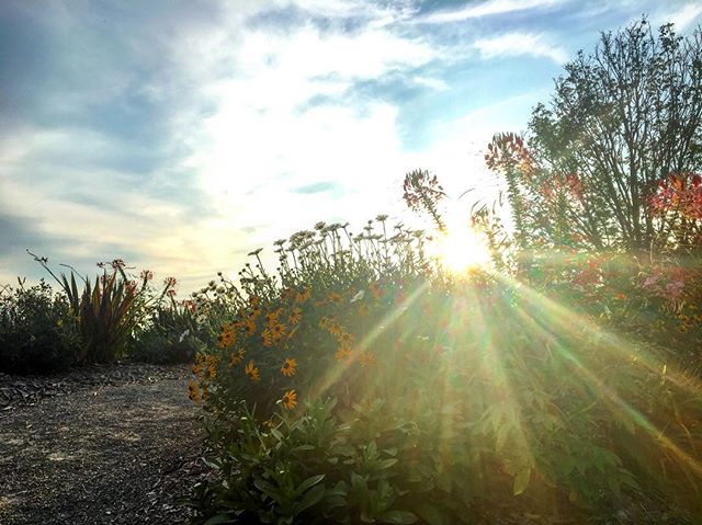 💀🖤🦊 (@alysha__fox) | Twitter