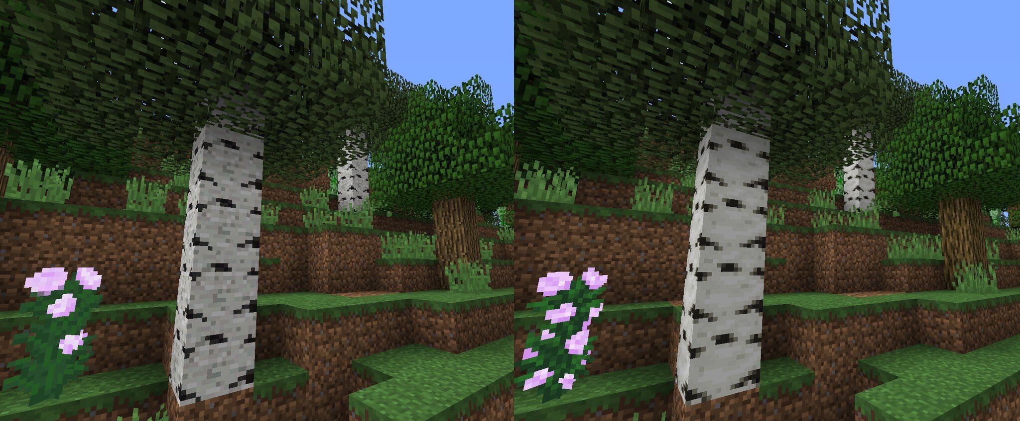 Minecraft Tree Texture