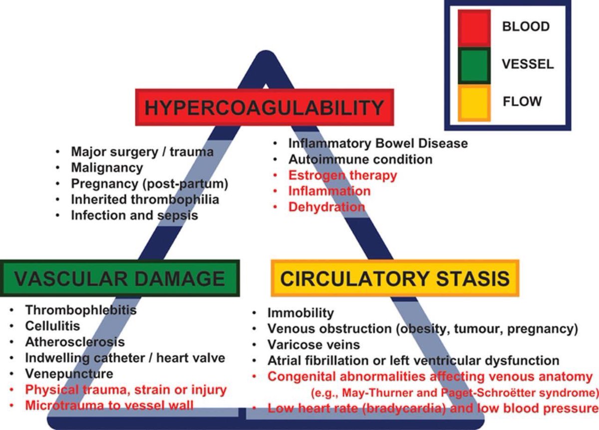 Virchows Triad Virchow Triad