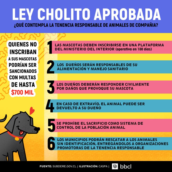 Ley Cholito: Conoce los aspectos que debes considerar si eres dueño de ... Ley Cholito: Conoce los aspectos que debes considerar si eres dueño de ...
