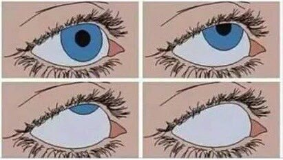 Sofi Palacios (@Sofy_Palacios) | Twitter