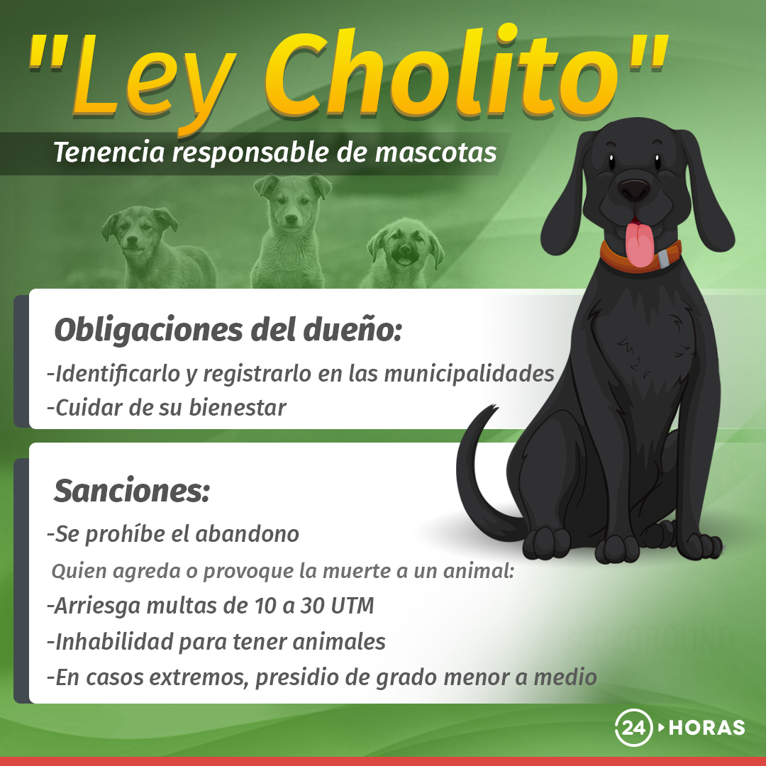 ¿De que trata la ley Cholito? ¿De que trata la ley Cholito?