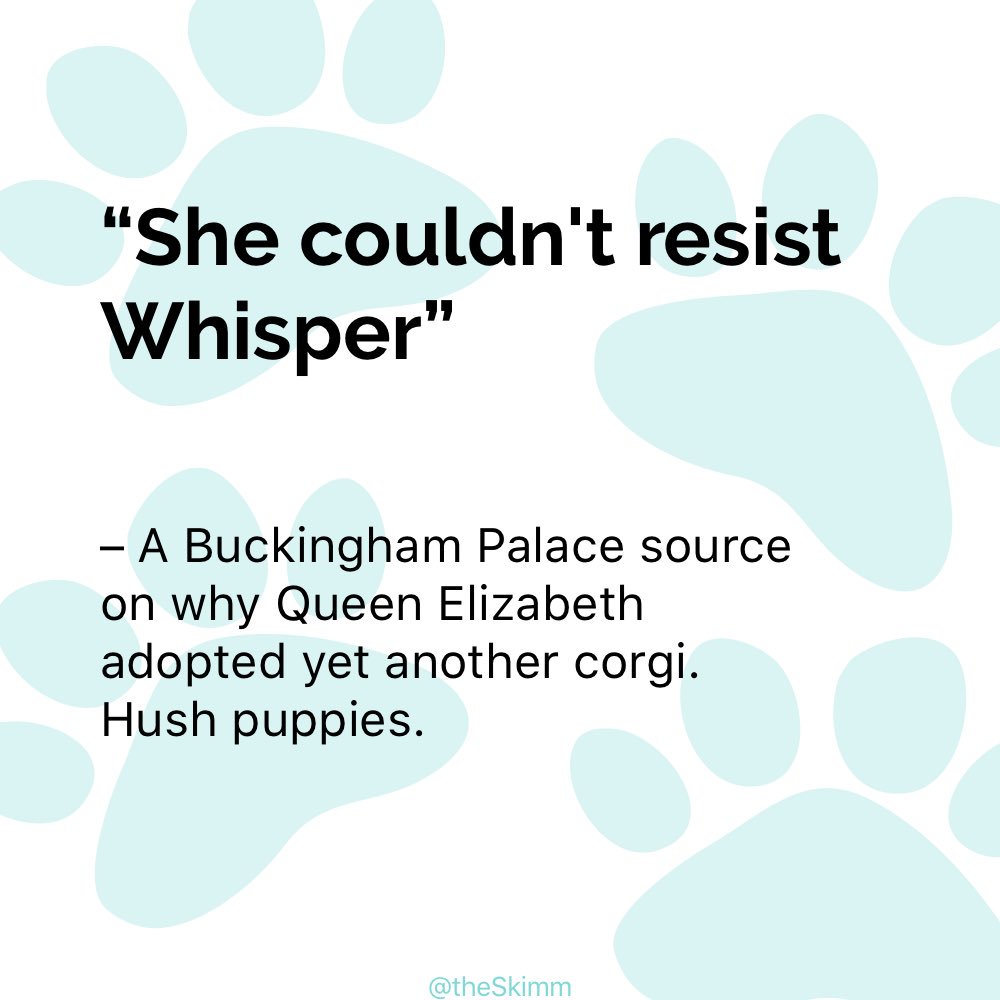 Meaghan Priebe (@MegPriebe) | Twitter