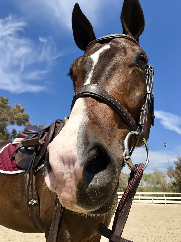 Hannah Naiman (@hannahk8lin) | Twitter