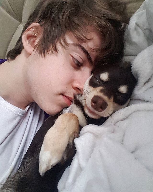 Info Cellbit (@InfoCellbit) | Twitter