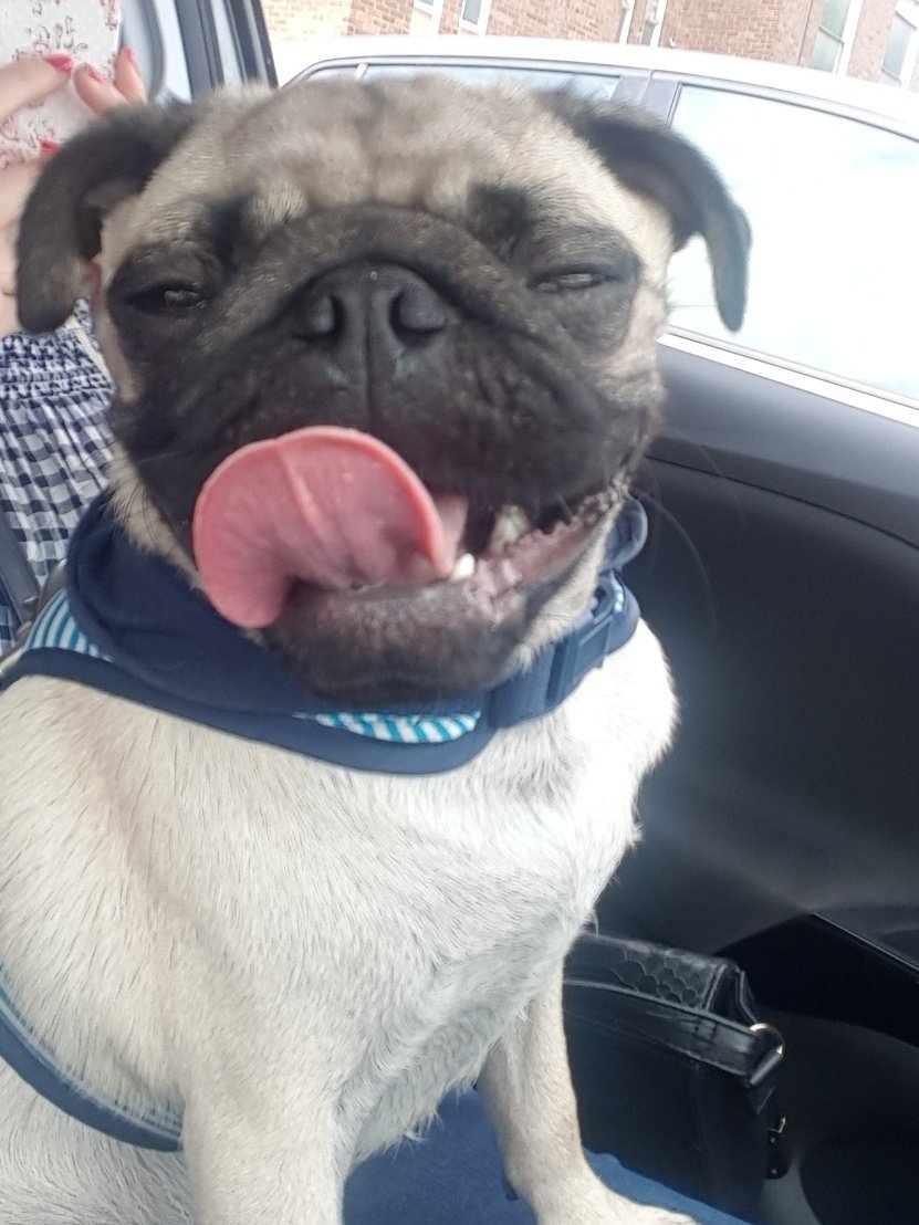 Ryan Slade (@sladey24) | Twitter