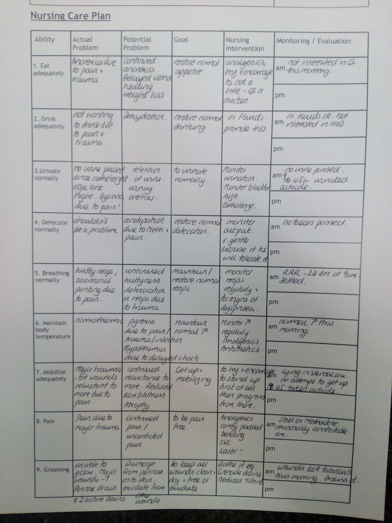 Patient Daily Care Plan British Journal Of Nursing Assessing The