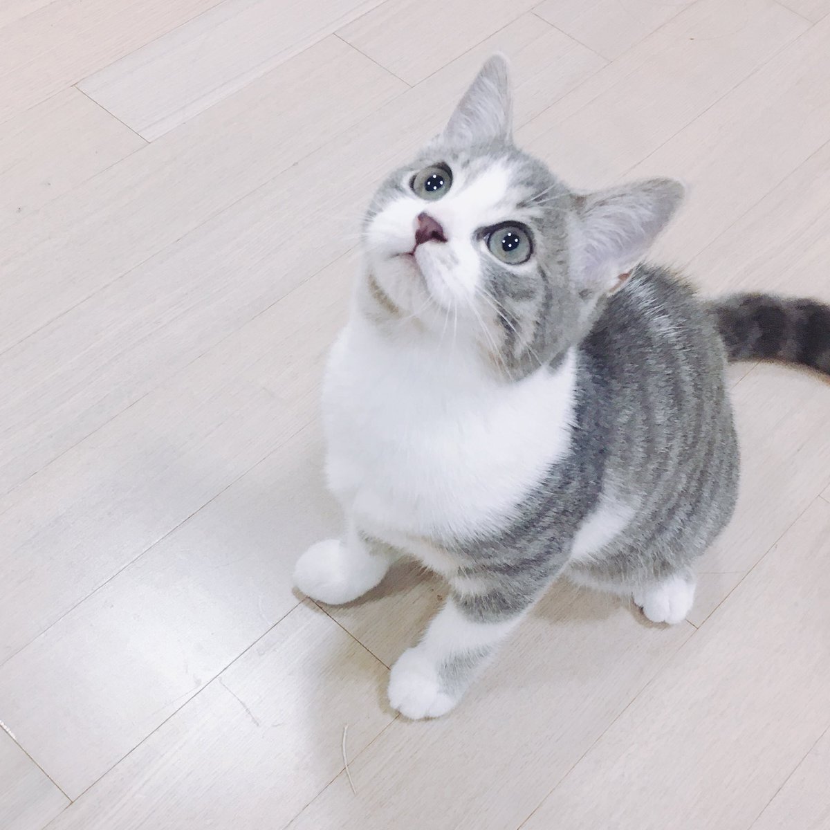 고든 (@rhems_) | Twitter