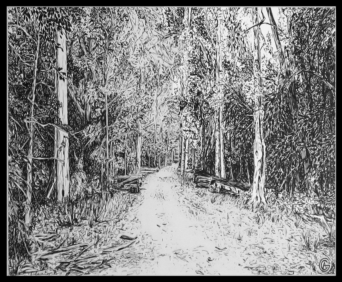 Forest Illustration Ink