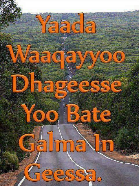 portablefaher - Blog