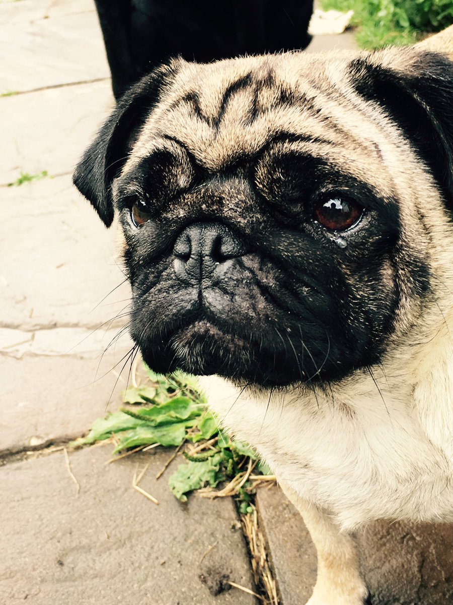 Travis birch (@Travis_Birch8) | Twitter