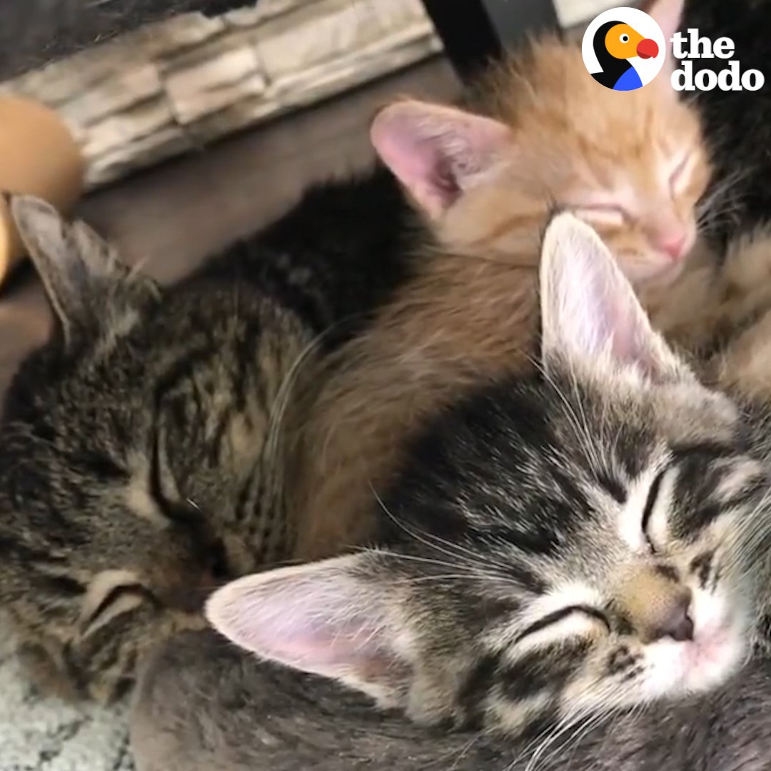 Trip Hawkins (@TripHawk) | Twitter