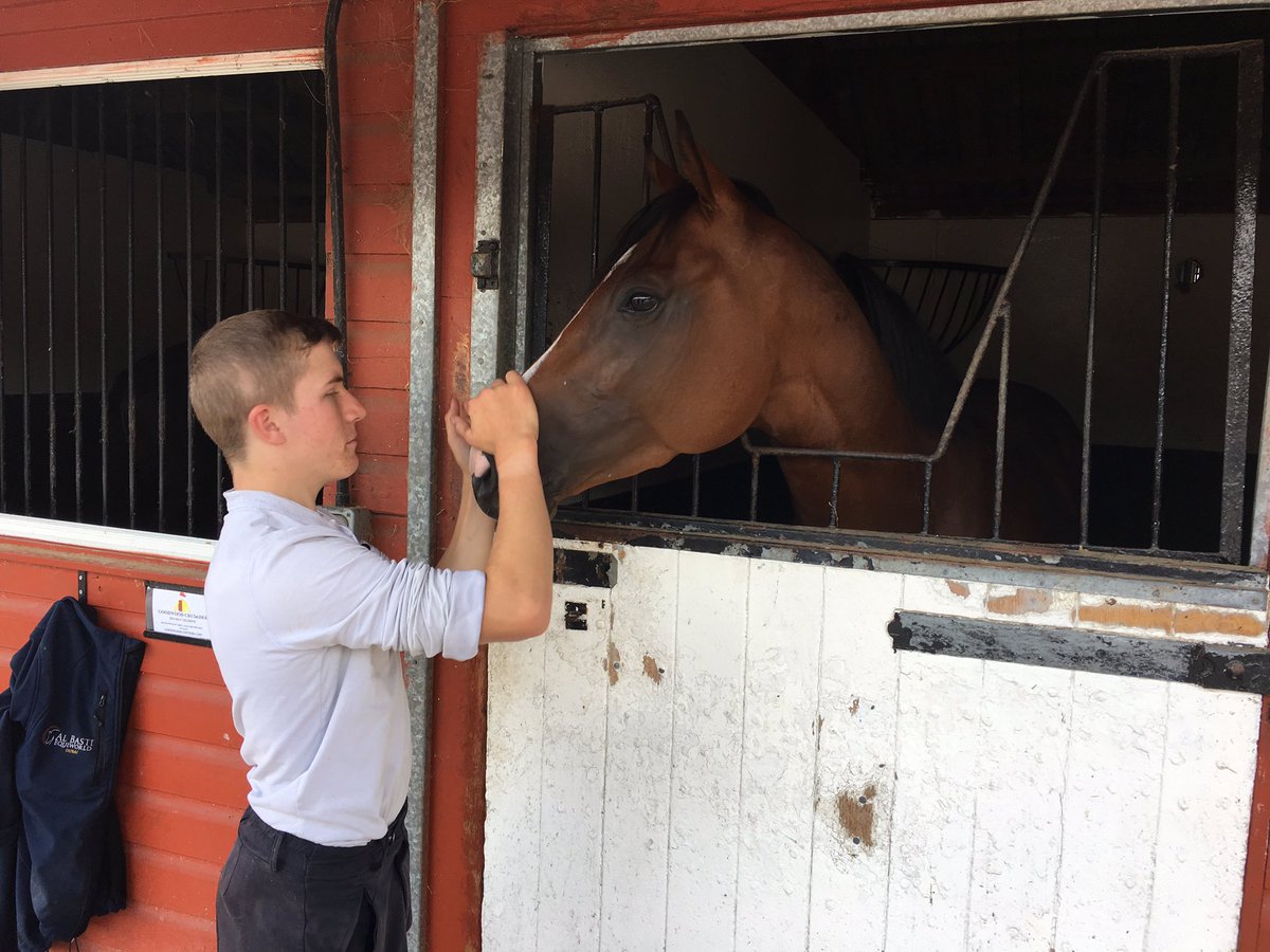 Finley Marsh | PigeonSwoop4