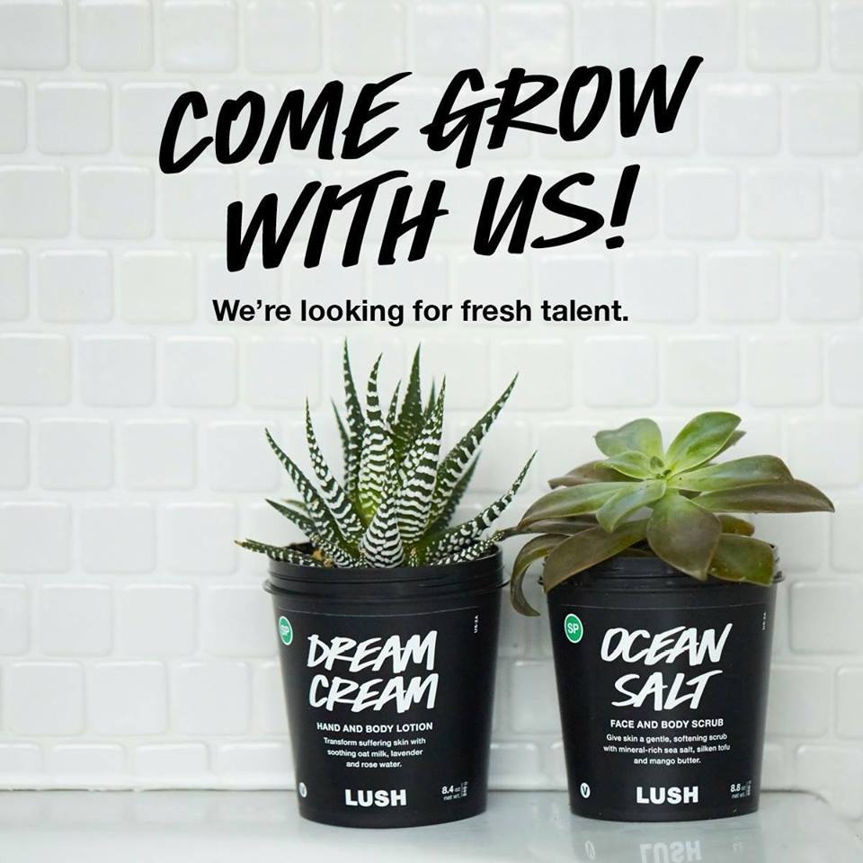 Lush Cosmetics Careers Uk | Makeupview.co