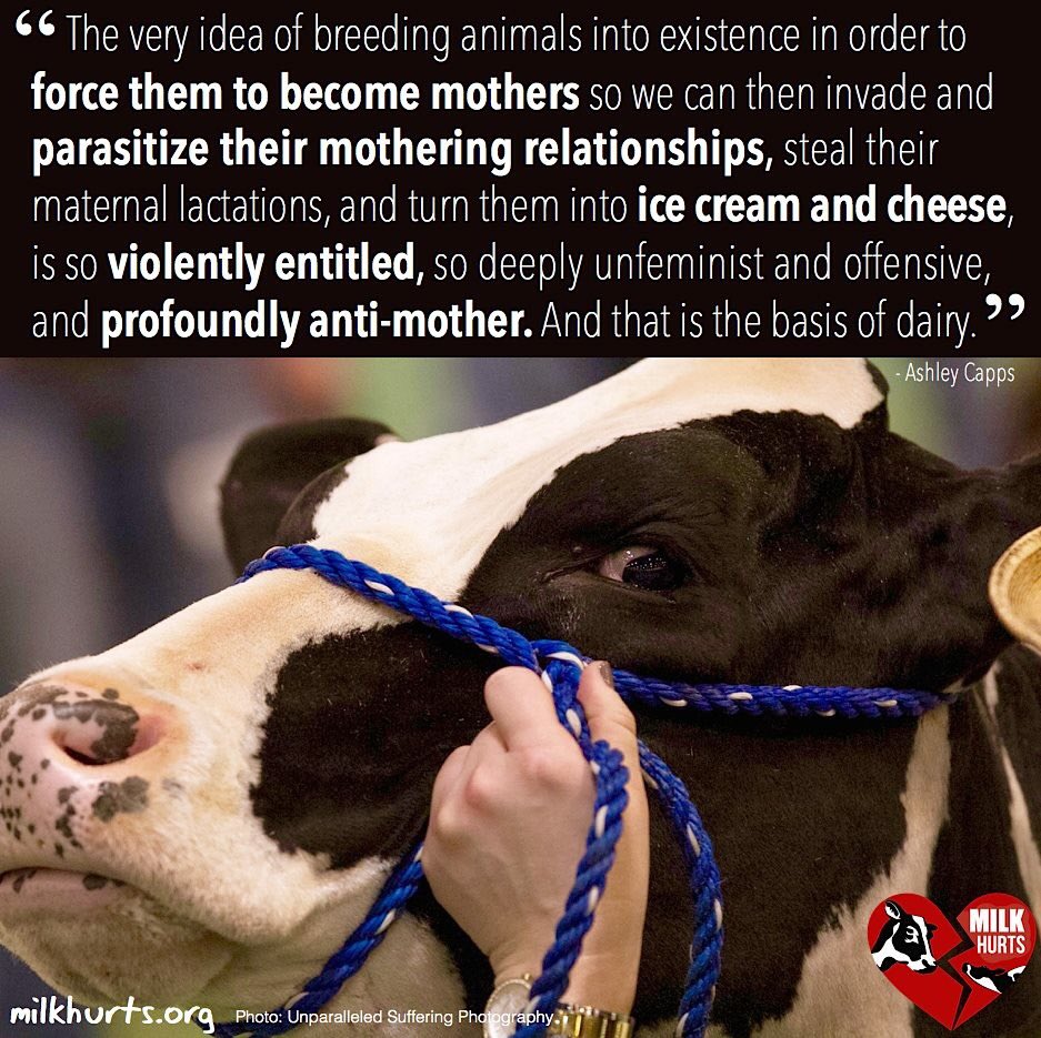 TKopacz Johnson (@tiffanymkj) | Twitter