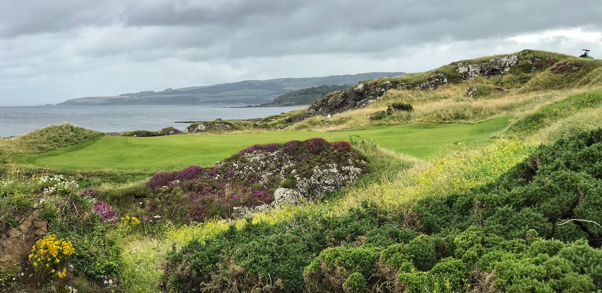 Alex Miceli (@alexmiceli) | Twitter