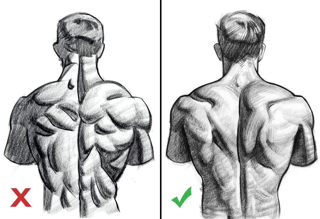Human Body Back Drawing