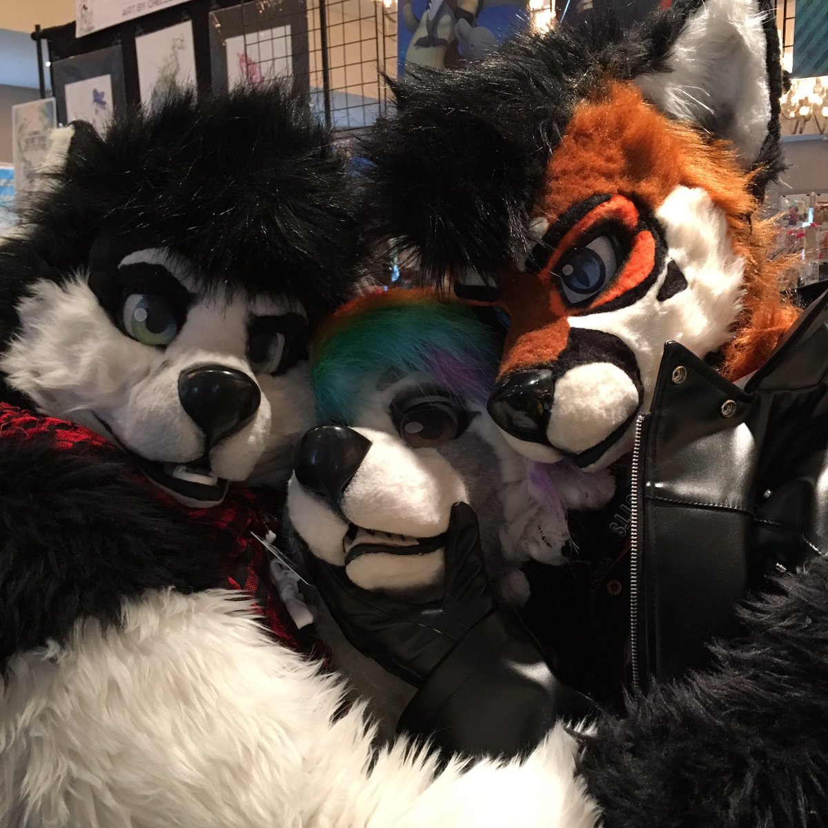 Mori (@MoriMutt) | Twitter