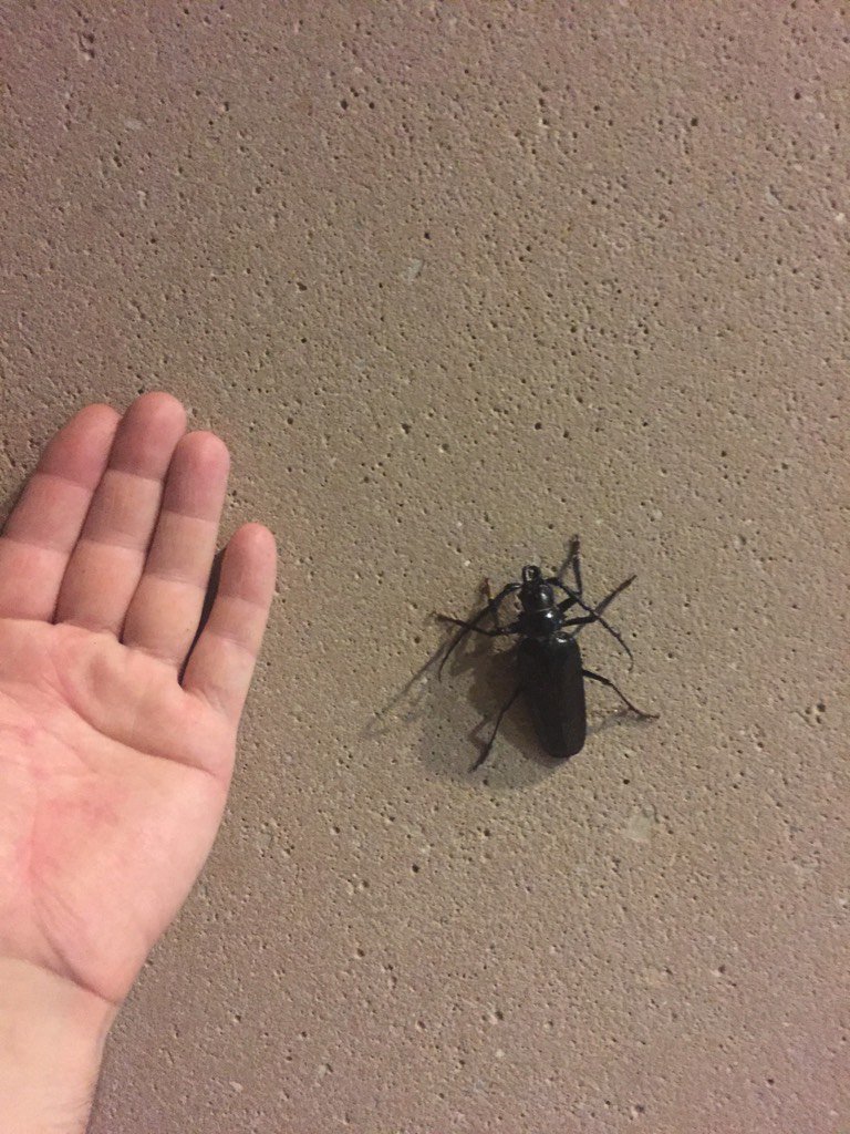 Michael Samuelson Mdsamuelson Twitter 9493