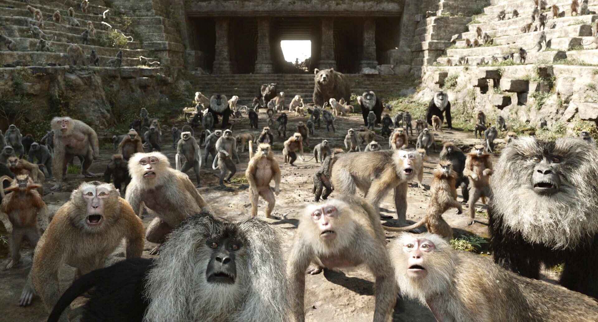 Monkeys Jungle Book