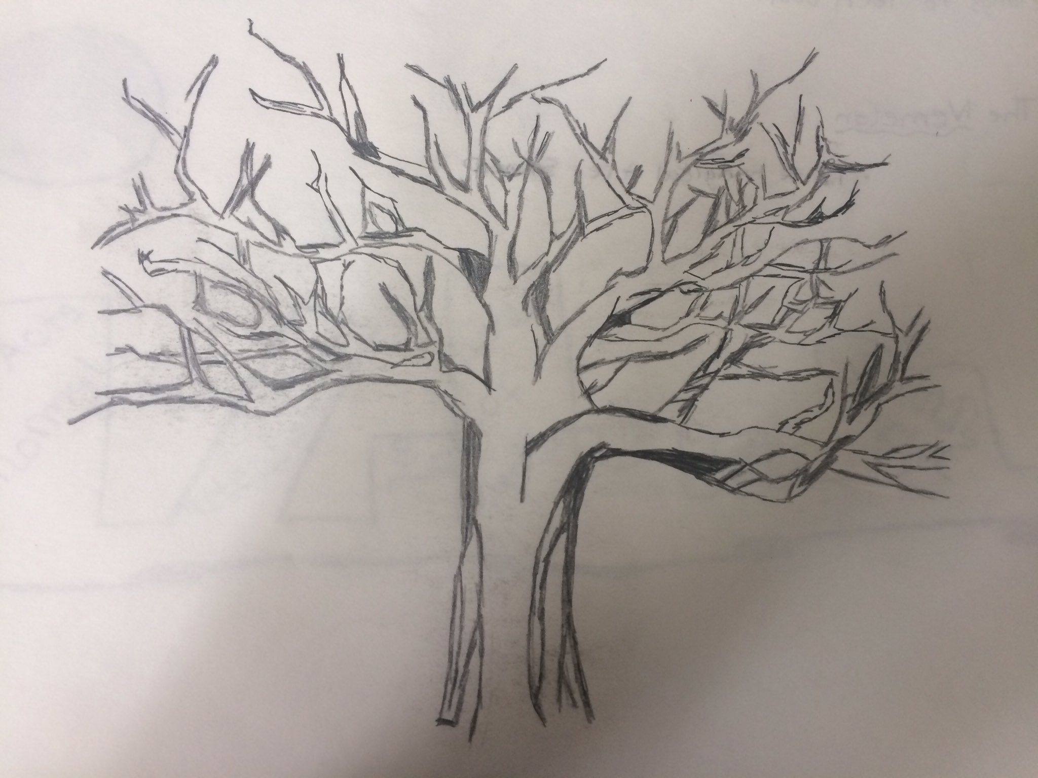 Teen Wolf Drawings Tree