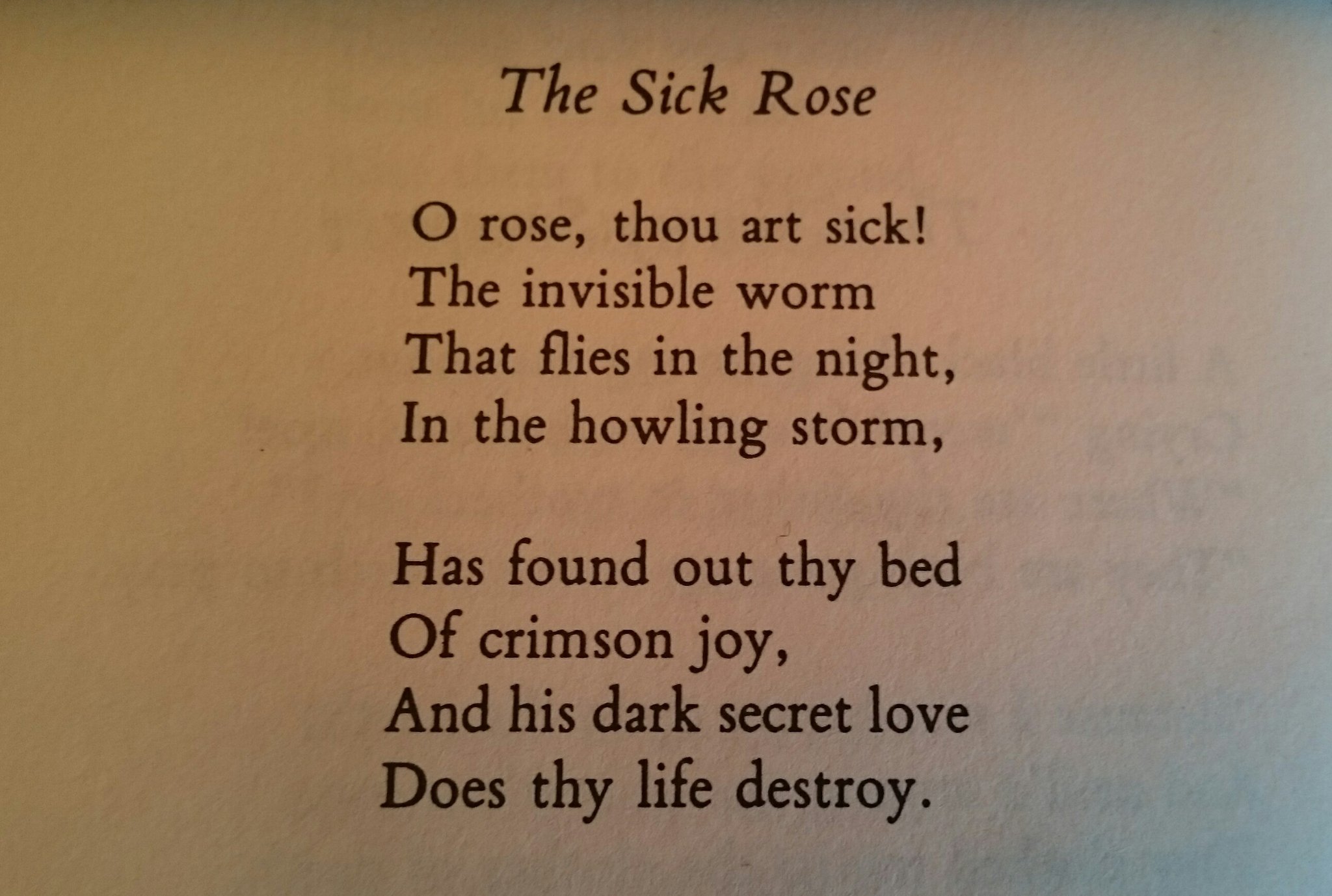 The Sick Rose Poem Meaning : The Sick Rose Analysis by William Blake – OJTI
