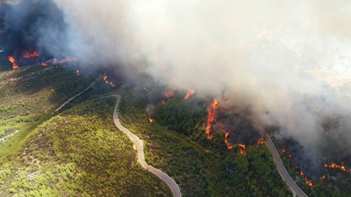 Wildfires burn down pine forest on Spetses, rage in SE Attica