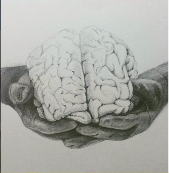 Human Brain Pencil Drawing