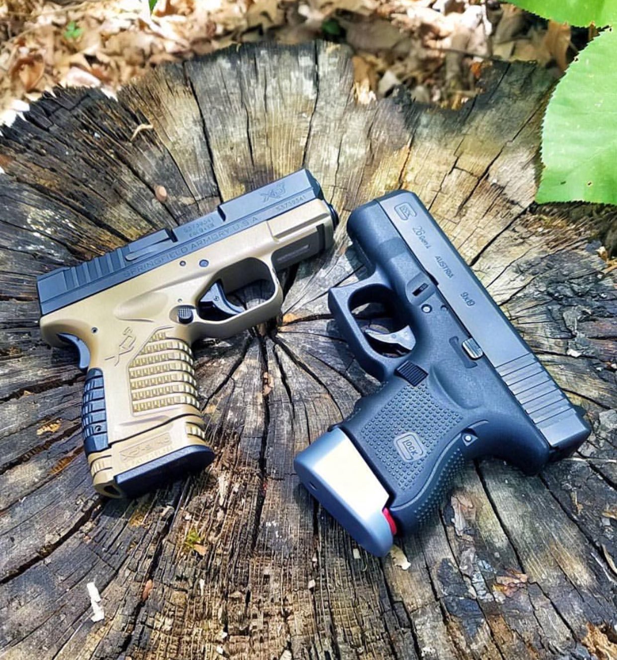 Springfield Xds 45 Compared To Glock 30s