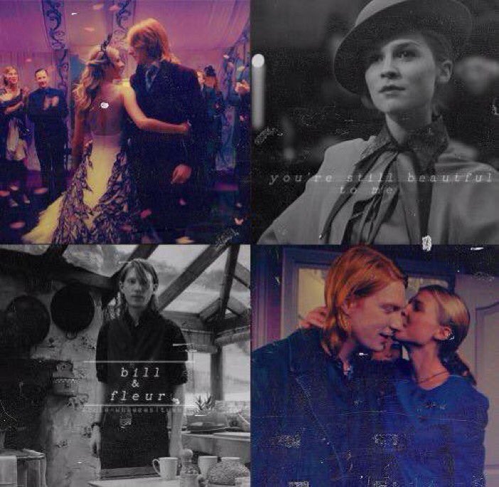 Harry Potter Fleur Delacour And Bill Weasley