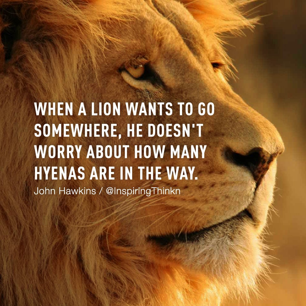 Lion Hyena Quotes 180+ Inspiring Lion Quotes To Motivate And Lead