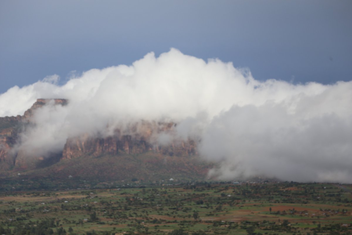 Tigray wins global gold award. Brazil takes silver: "The Tigray region ...