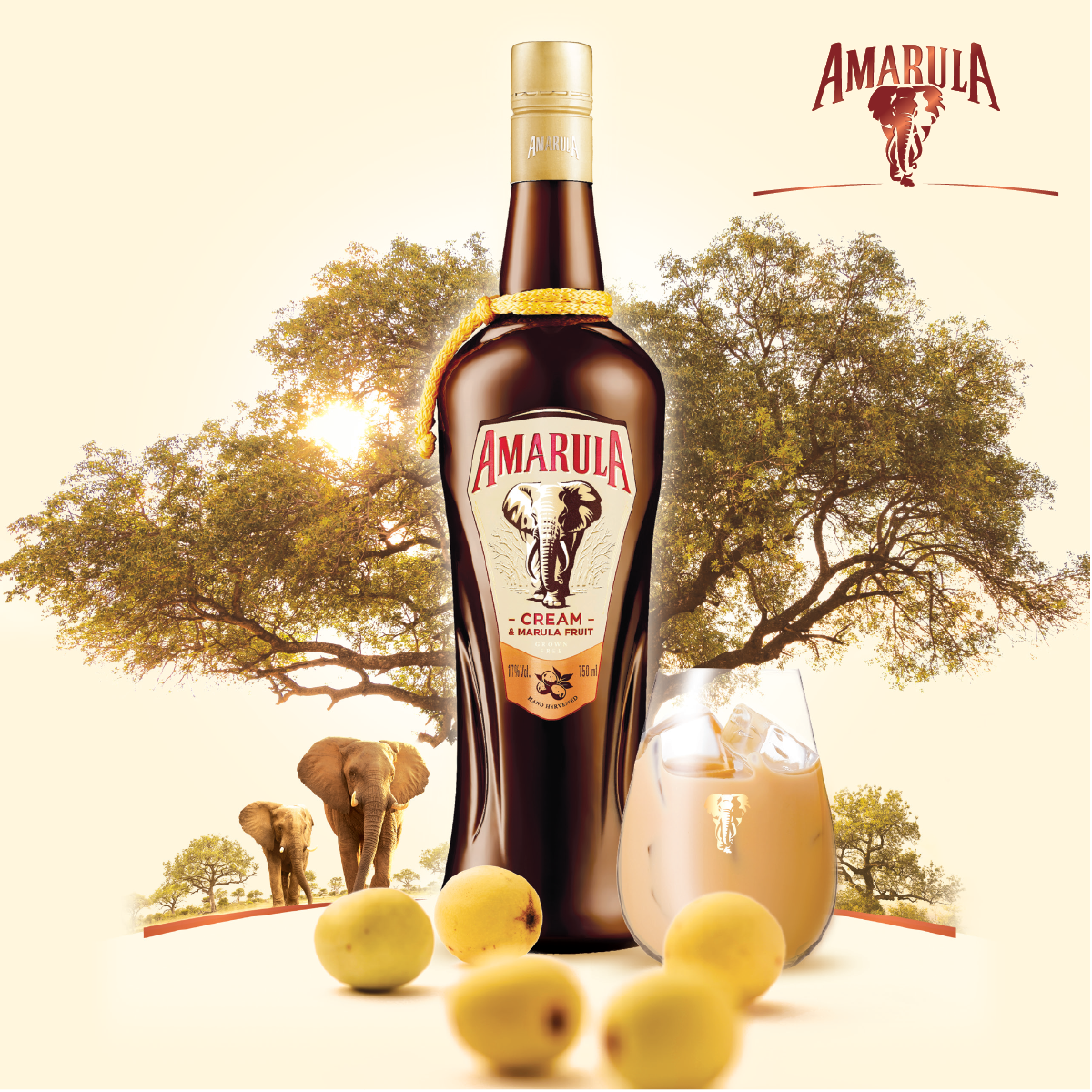 what does amarula taste like