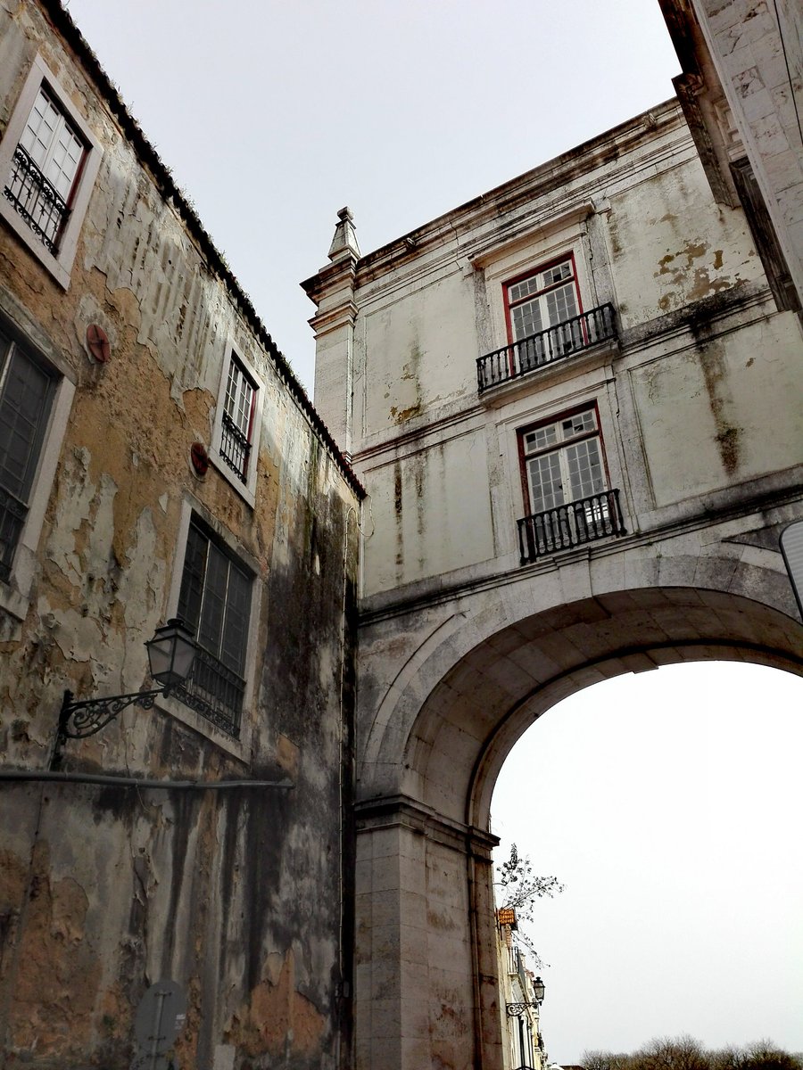 Junior Grossi (@juniorgrossi_) | Twitter