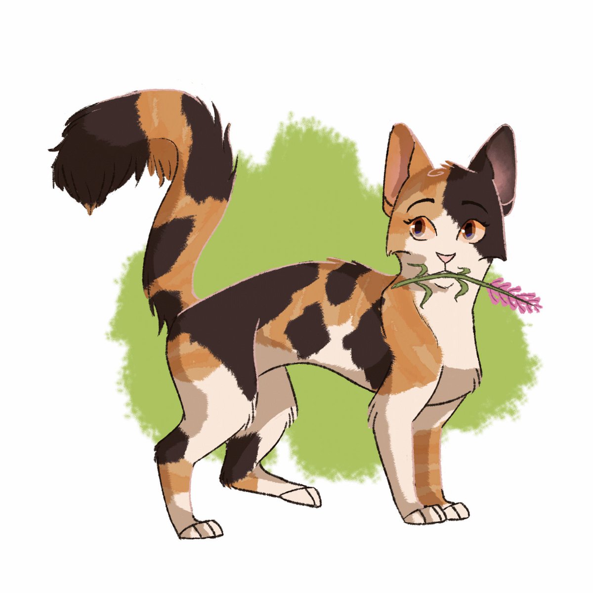 Warrior Cats Spottedleaf spottedleaf's heart - YouTube