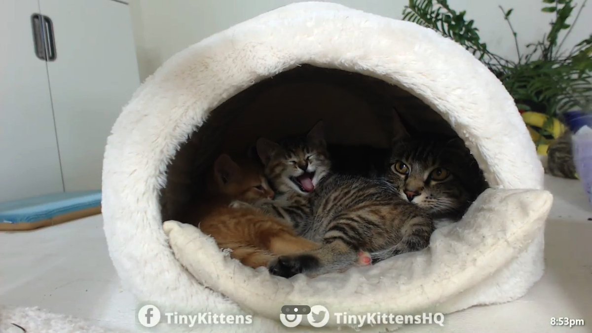 Chris Trott (@twocentstudios) | Twitter