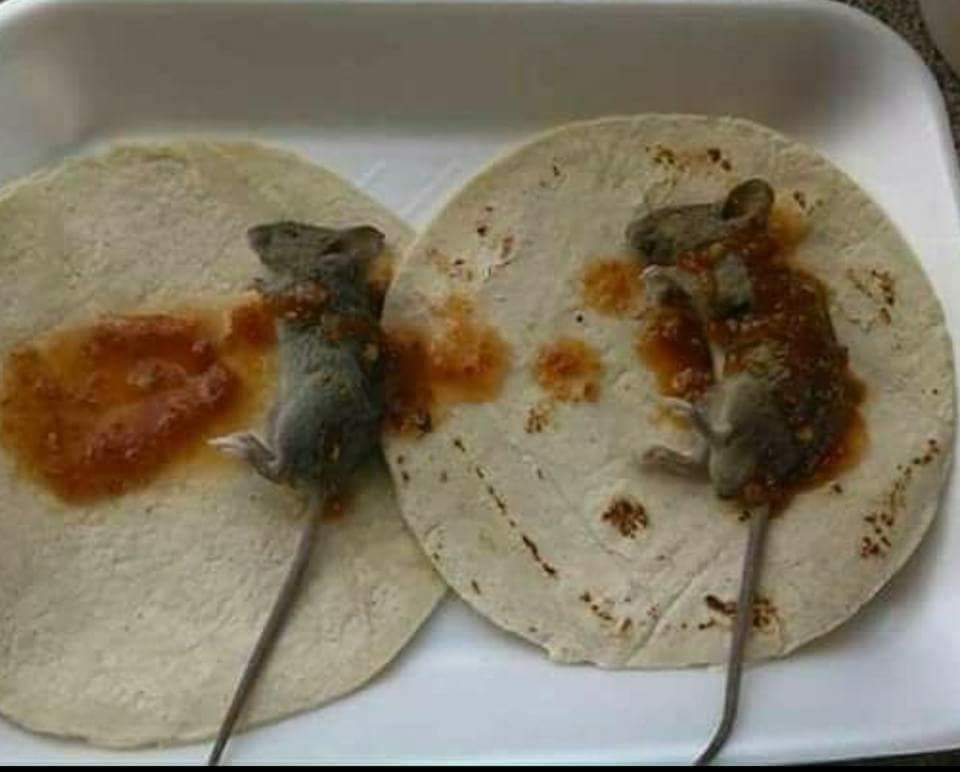 Sherlock Holmes Saludo Molesto tacos de rata Personas mayores ...