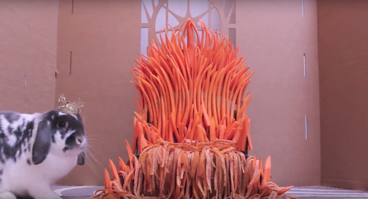 Chomp Chomp (@ChompChompmx) | Twitter