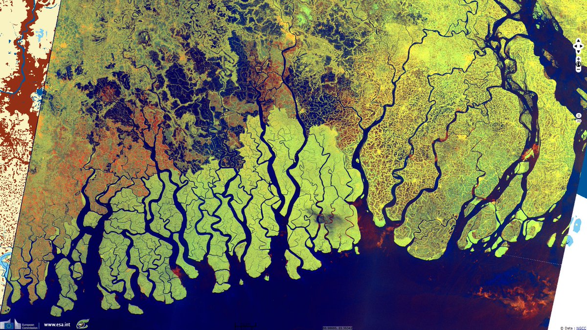 Ganges River Delta