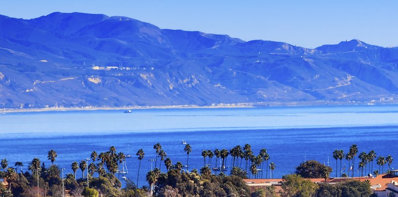 California @california profile | Muskviewer