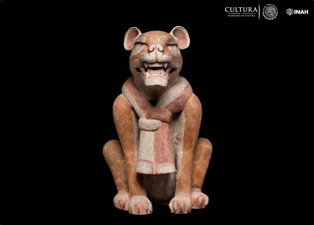 ¿Qué son los Michis? | Todo sobre gatos