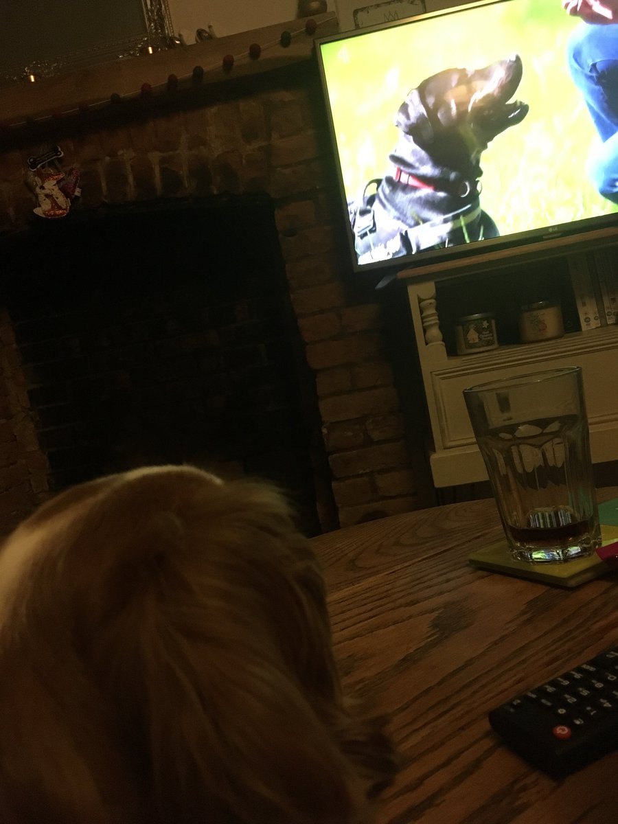 Kayleigh Pearce (@Kay_err_leigh) | Twitter