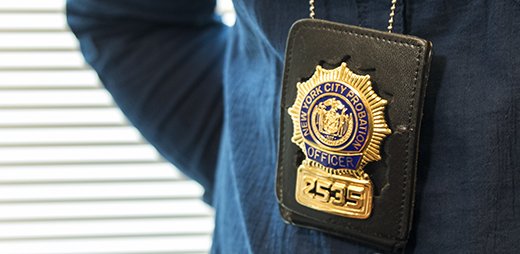 Federal Probation Officer Badge